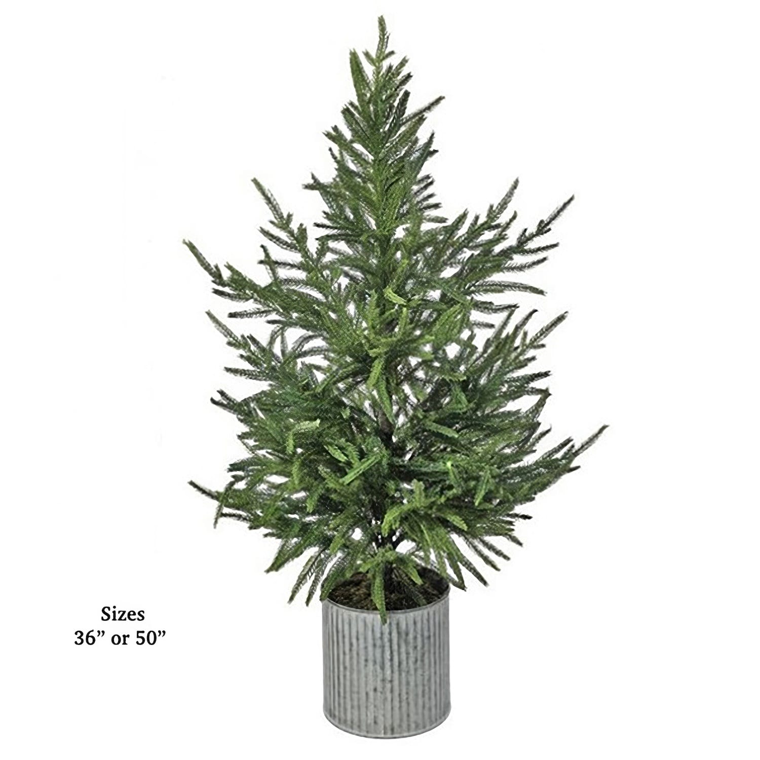 Norfolk Pine Natural Touch Potted Trees Sale - Christmas
