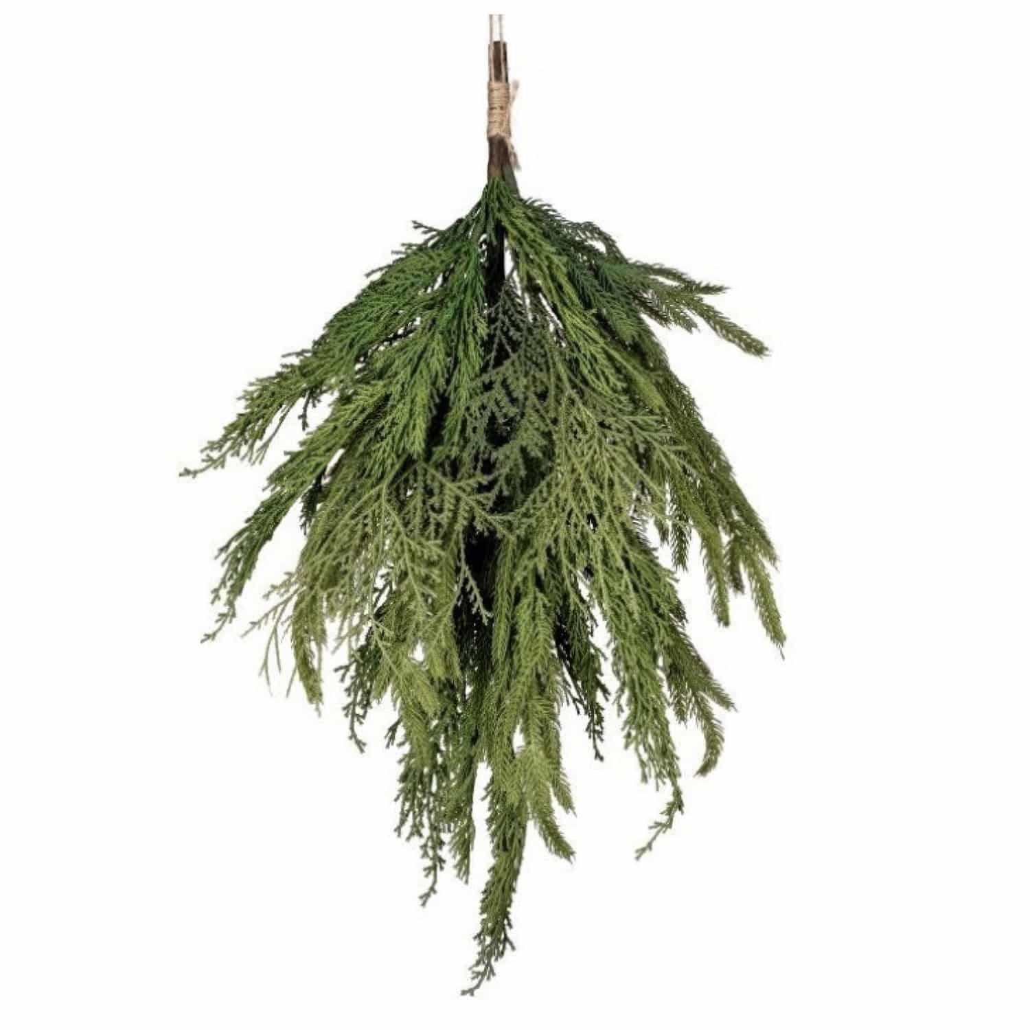 Natural Touch Spray Cyprus Norfolk Pine 20″