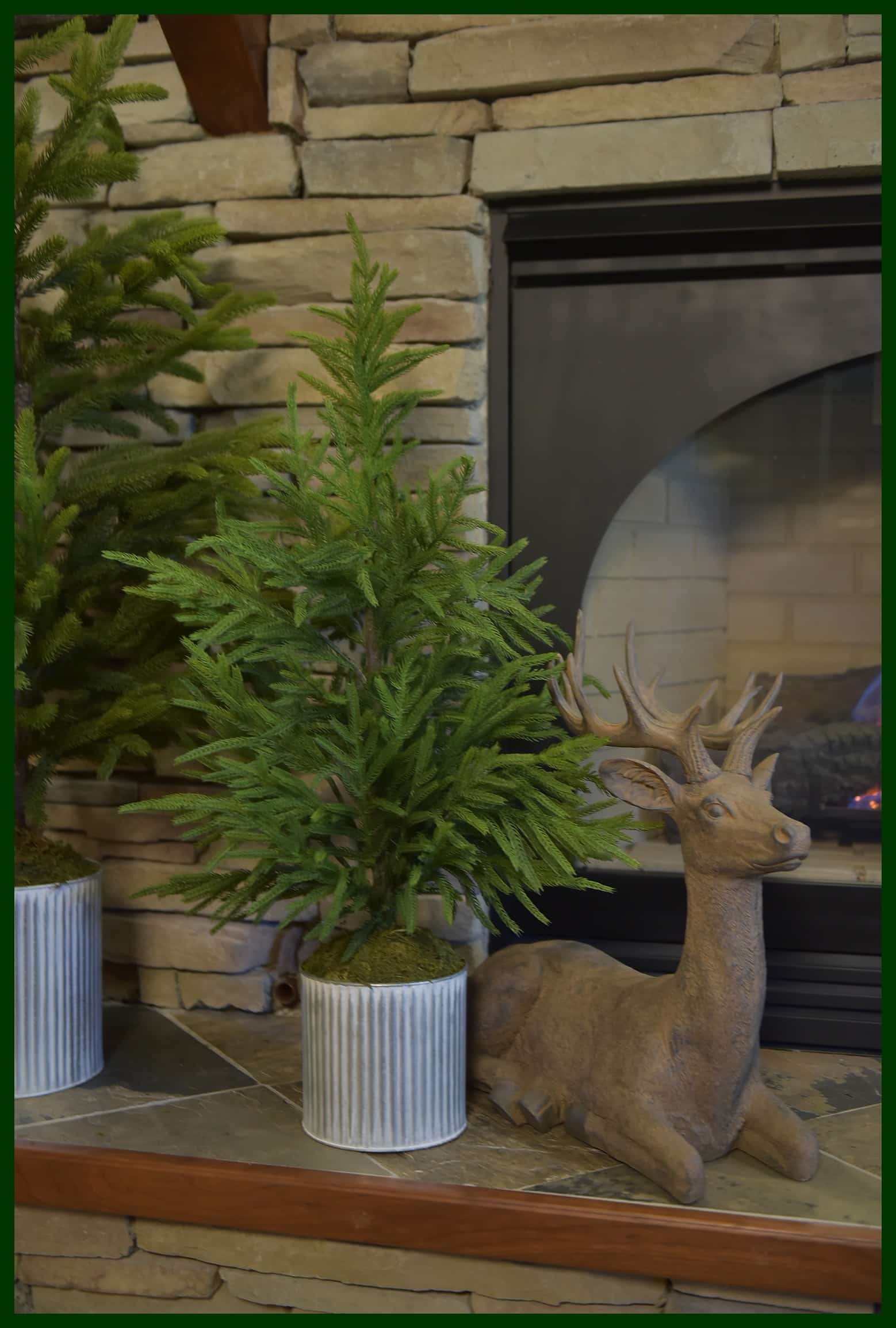 Norfolk Pine Natural Touch Potted Trees Sale - Christmas